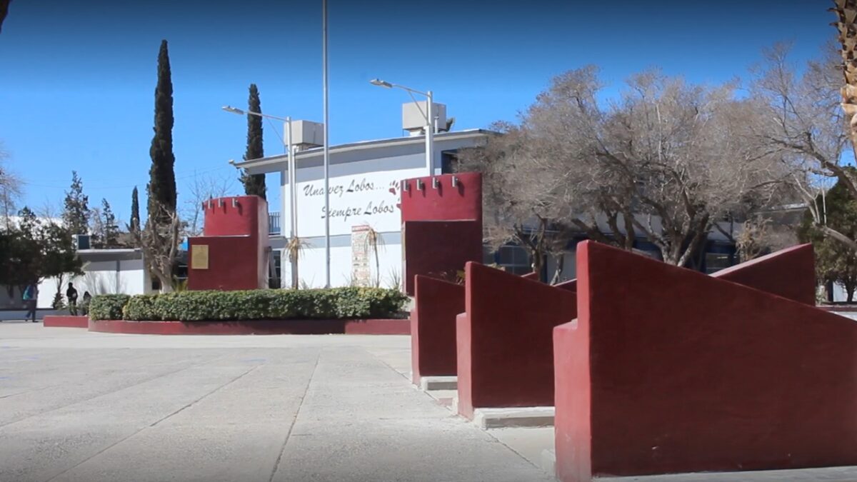 Microsoft Teals Program - funax